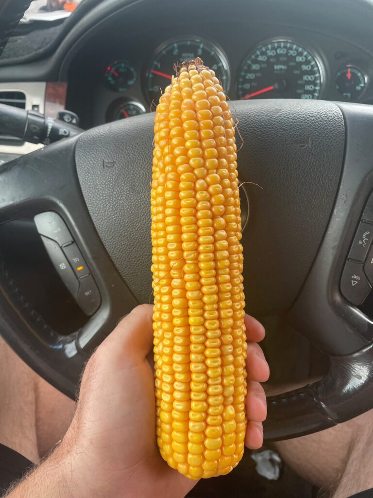 North Carolina’s Corn Yield Record Shattered | AgVenture